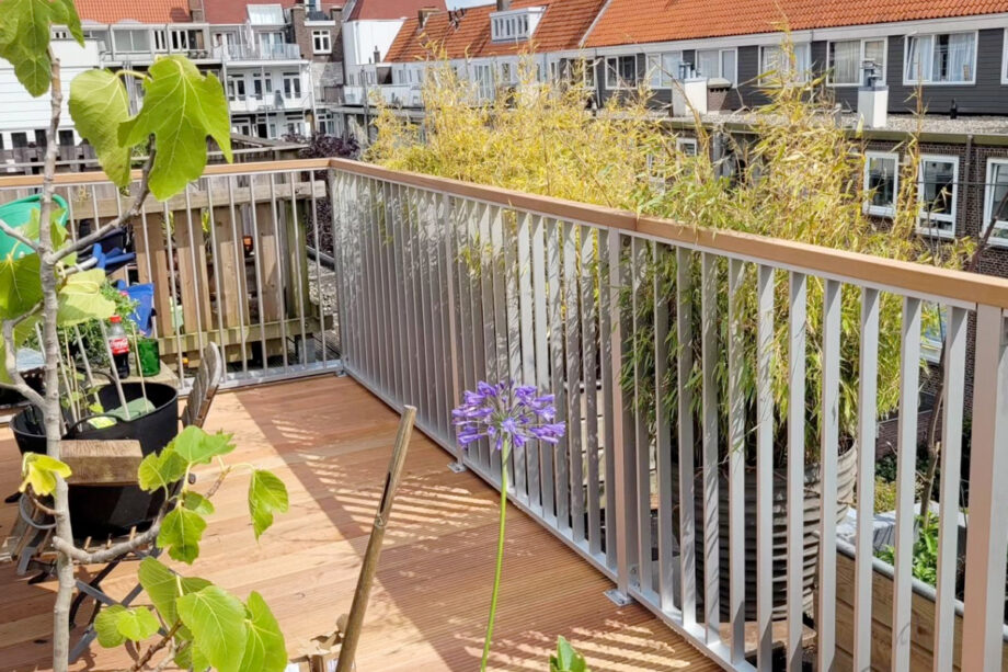 Balustrade kopen voor je balkon: Veiligheid en stijl in één